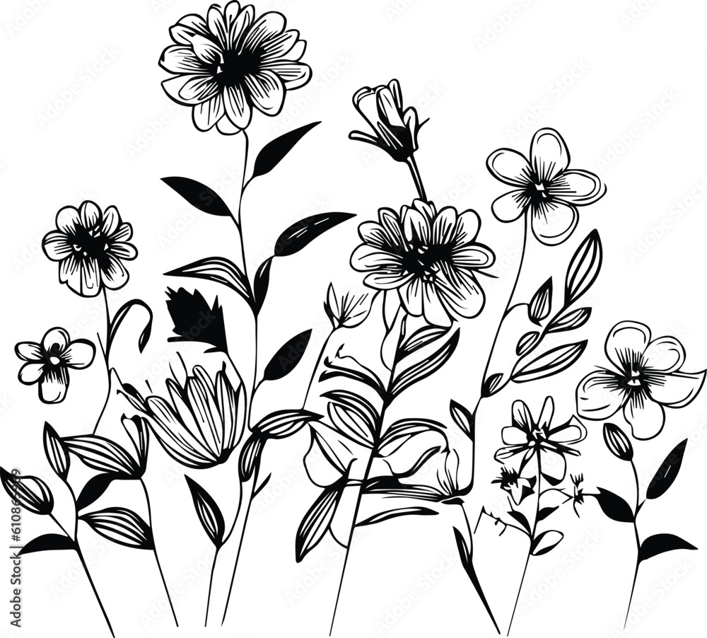 simple botanical flower drawings, easy botanical doodles. aesthetic ...