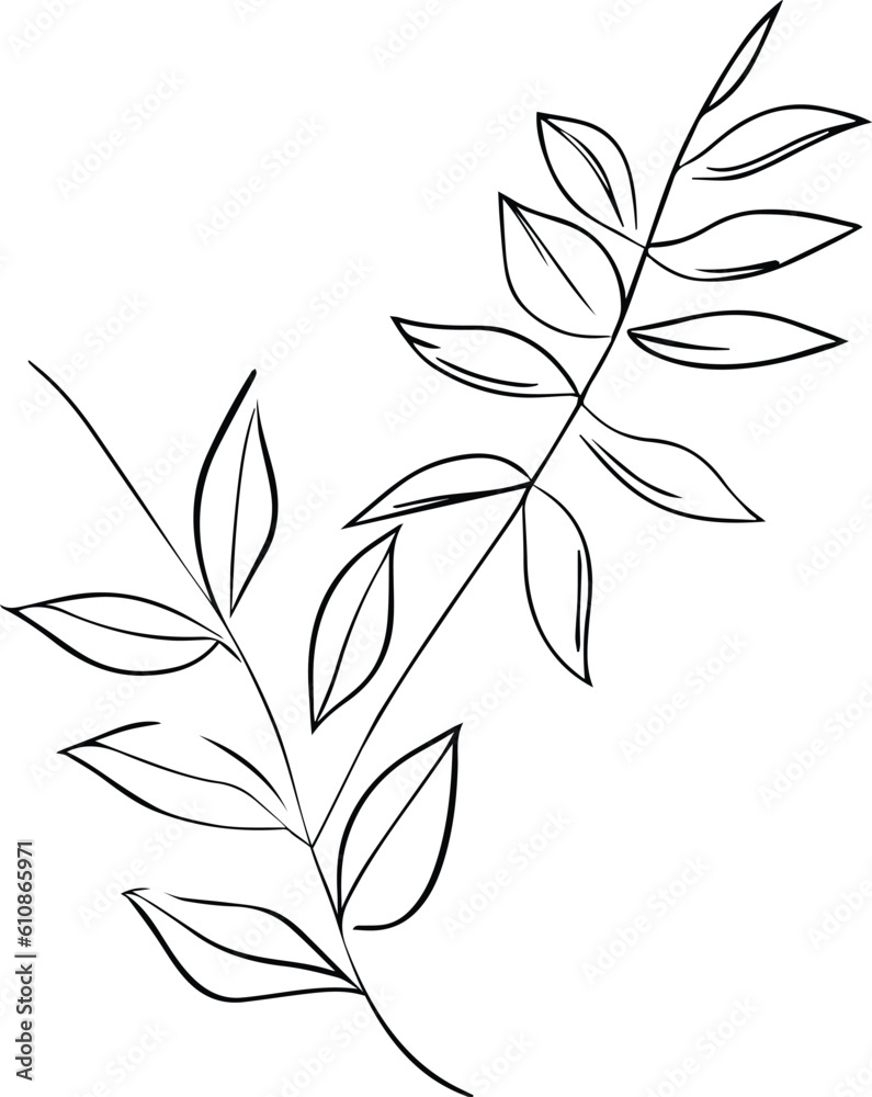 one line drawing with botanical flower, botanical illustration ...
