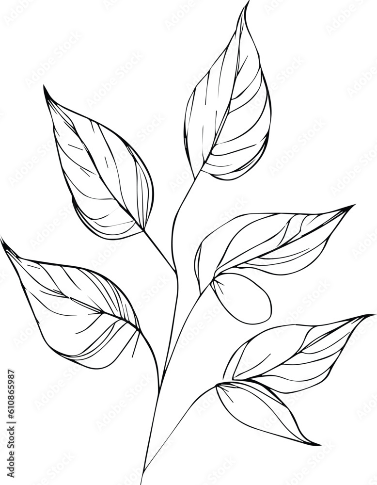 Botanical element, botanical line drawing, vintage botanical coloring ...