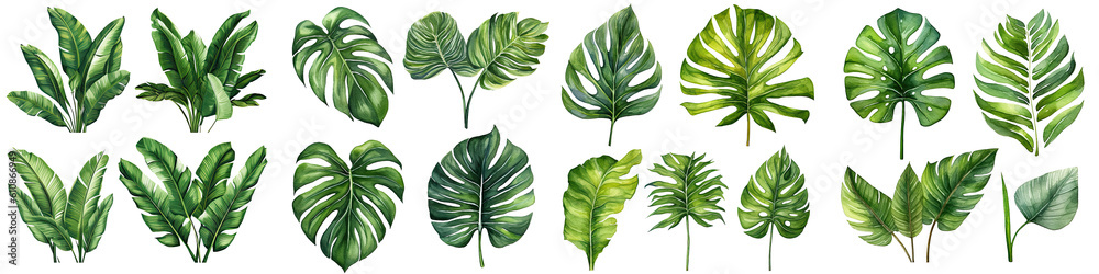 watercolor leaves set, watercolor botanical painting. Jungle ...
