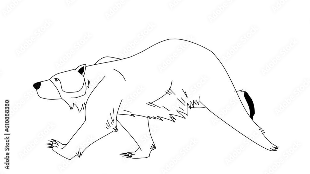 2d Hand Drawn Animation A Running Bear Side View Stock Video | Adobe Stock