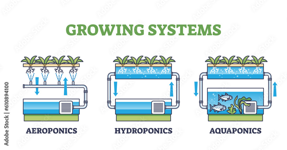 Aquaponics, hydroponics and aeroponics as growing systems outline ...