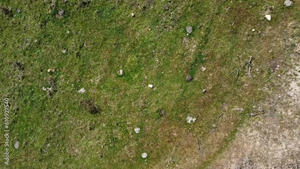 plano de dron cenital en espiral a prado Stock ビデオ | Adobe Stock
