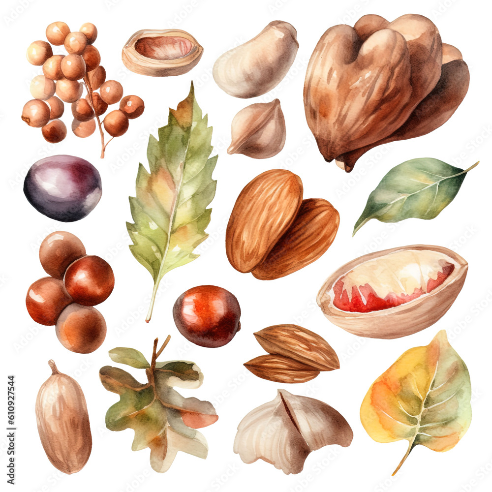 Nuts clip art, watercolor nuts, watercolor clip art, nuts closeup ...