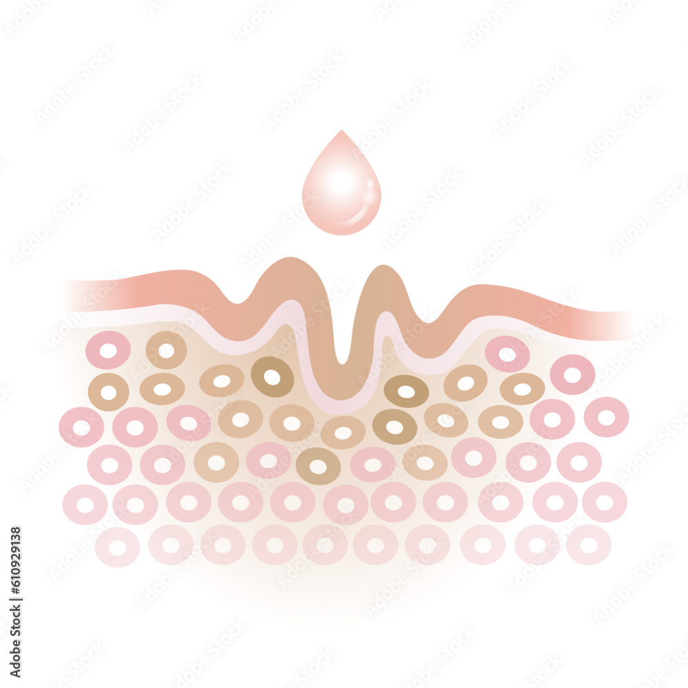 Drop the skincare to the lines and wrinkles on the skin surface vector ...