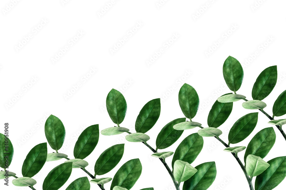 Leaf png, transparency, transparent, no background png, leaves png ...