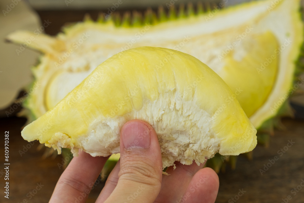 Man Holding Durian the King of Fruits, Ripe and Fresh Golden Durian ...