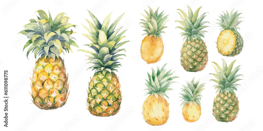 watercolor pineapple clipart for graphic resources Stock Vector | Adobe ...