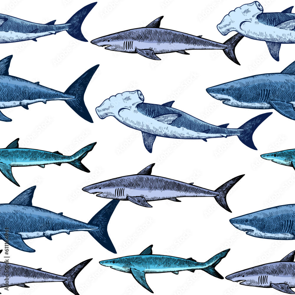 Seamless pattern with various sharks, great white shark, hammerhead ...