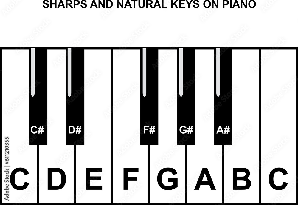Printable Piano Keyboard Diagram Diagram Media How To Label Piano