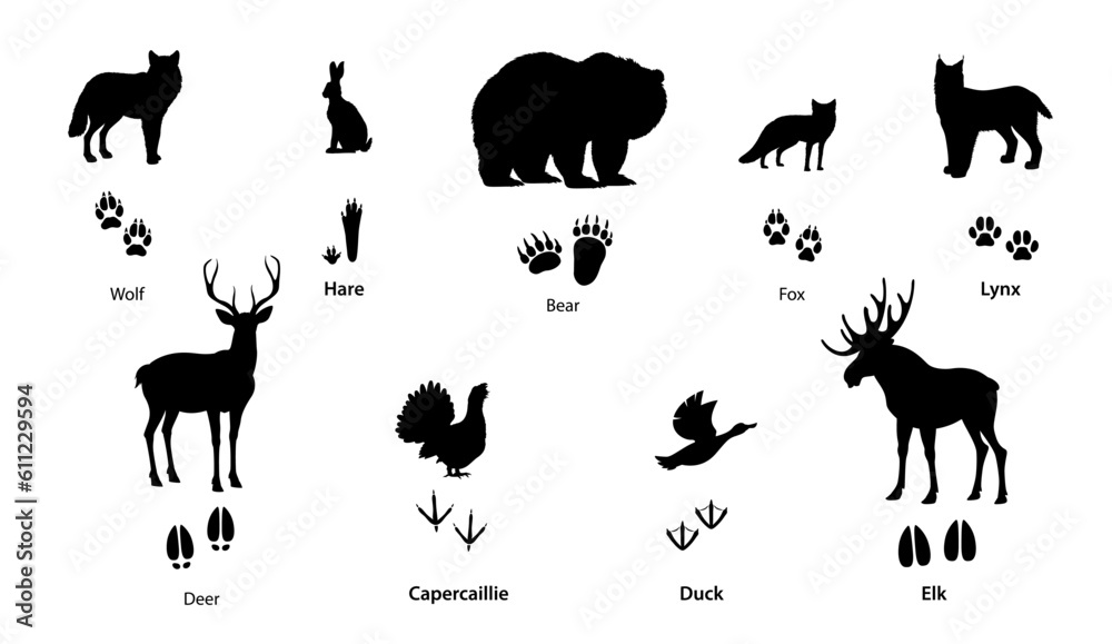 Forest animal and bird silhouettes with footprints. Vector foot prints ...