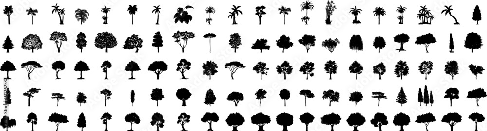 tree silhouettes. Vector silhouette of tree on transparent background ...
