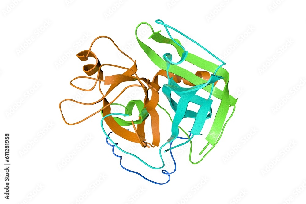 ภาพประกอบสต็อก Crystallographic structure of human gamma-thrombin ...
