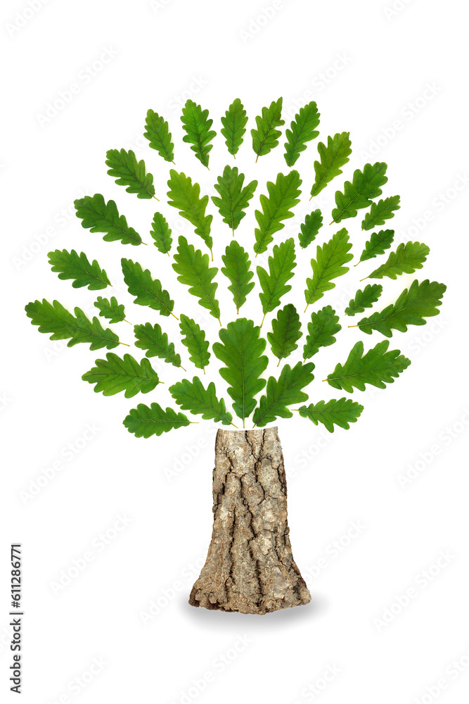 Oak tree leaf abstract go green eco friendly logo symbol with green ...