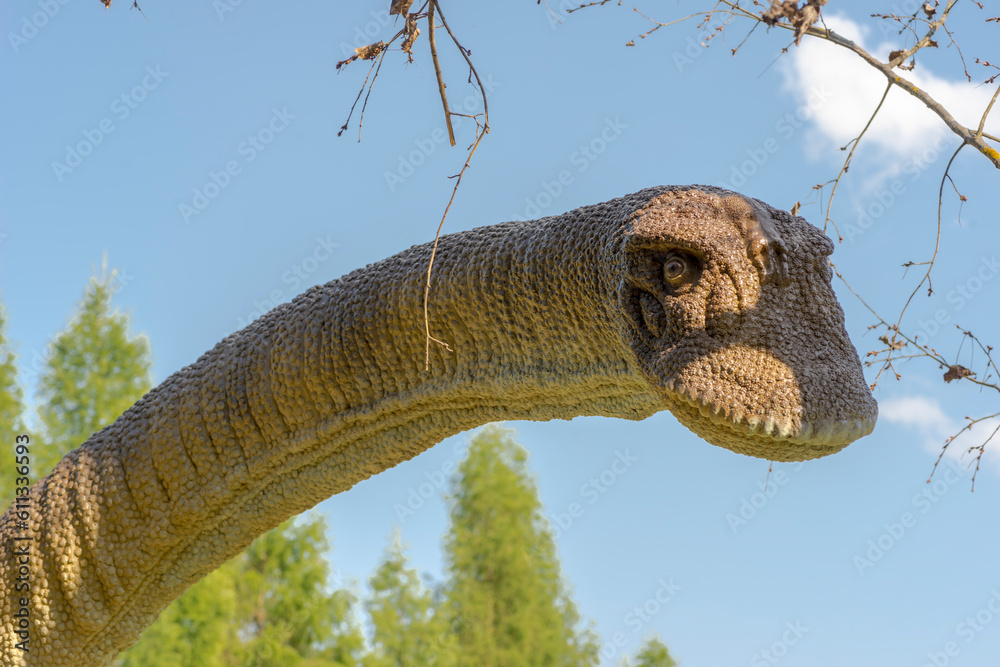 Poland Baltow May 30, 2023 at 16:12. Saltasaurus (Saltasaurus loricatus ...