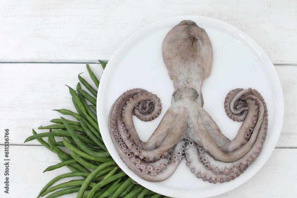 Octopus, seafood, delicacy, green bean, tropical Mediterranean animal ...