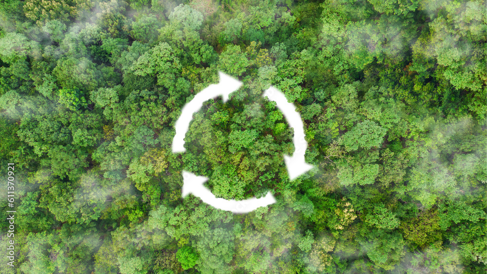 environment sustainable circular economy for future growth of business ...