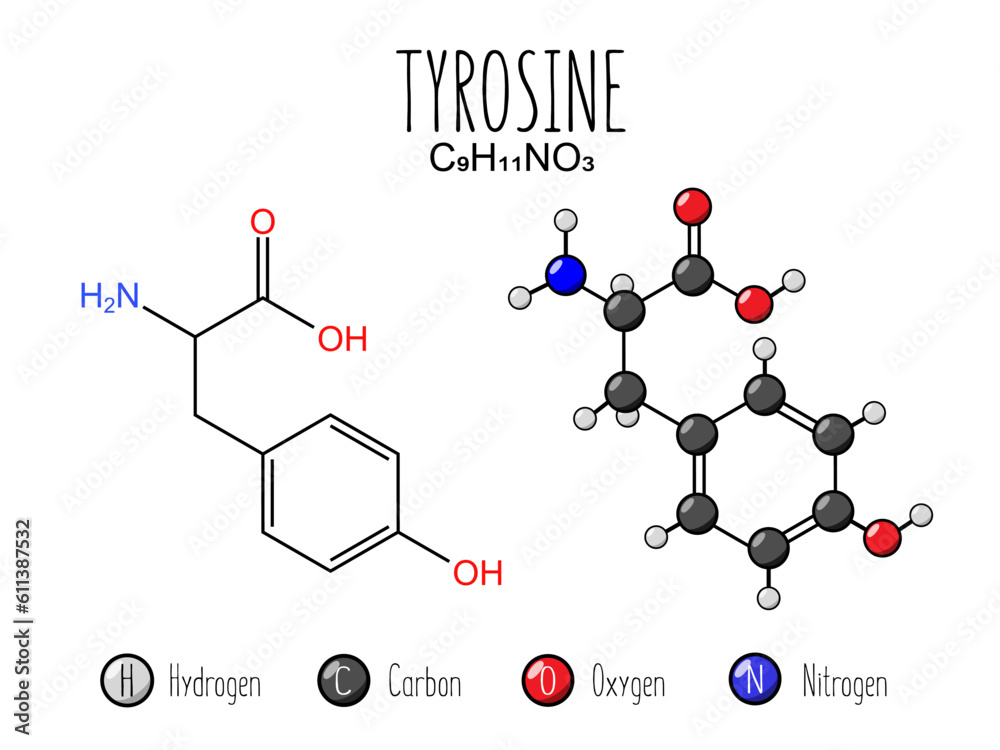 Tyrosine amino acid representation. Skeletal formula and 2d structure ...