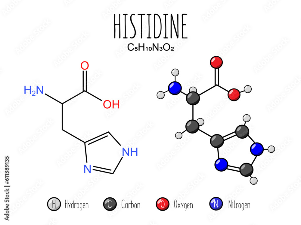 Histidine amino acid representation. Skeletal formula and 2d structure ...