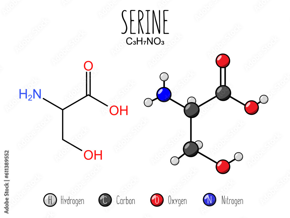 Serine amino acid representation. Skeletal formula and 2d structure ...