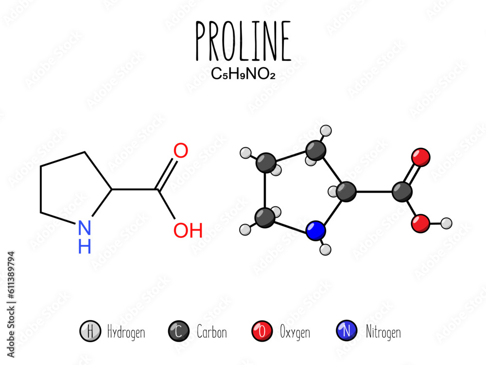 Proline amino acid representation. Skeletal formula and 2d structure ...