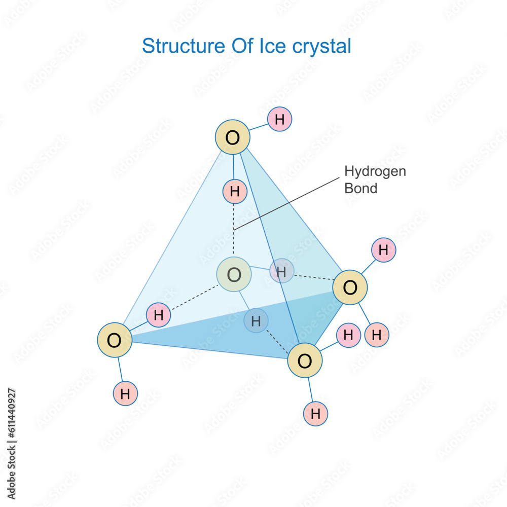 In ice each water molecule is hydrogen bonded to four neighboring water ...