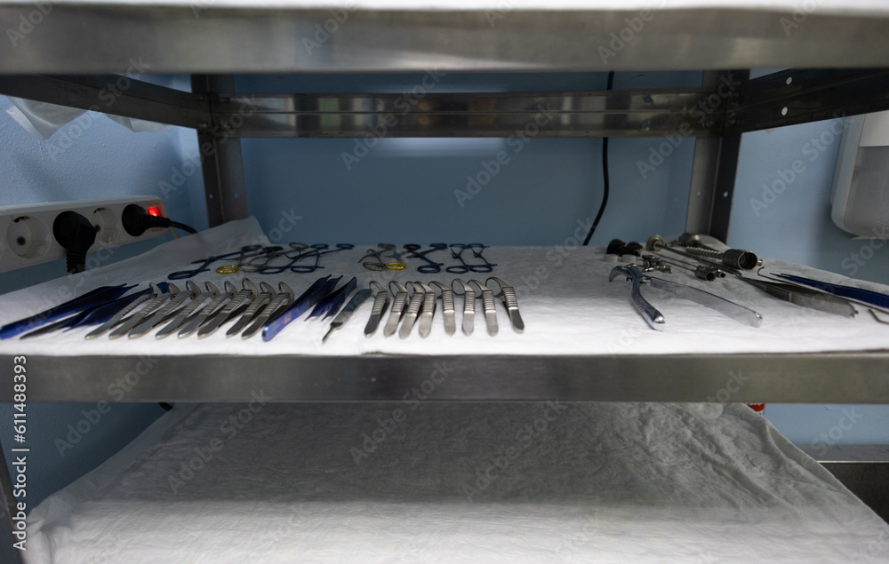 The surgical instrument is sterile laid out in trays ready for use. A ...