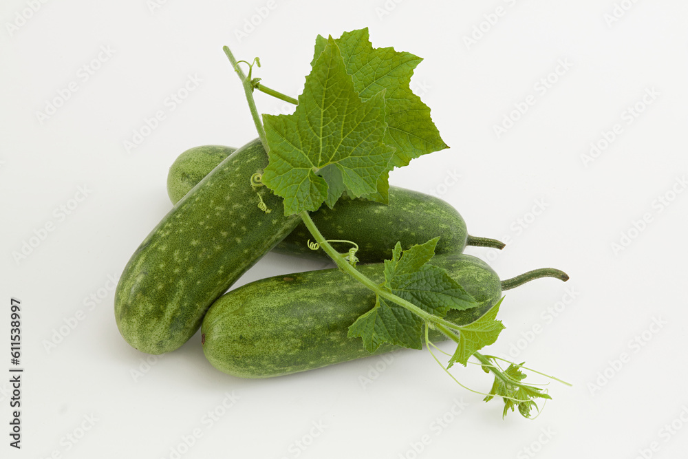 Wax gourd also known as ash gourd or winter melon on a white background ...