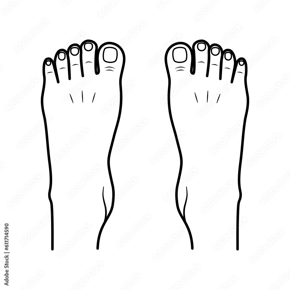 Two bare human feet. Top view. Foot legs. Vector flat outline icon ...
