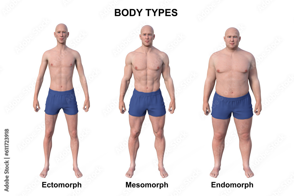 A 3D Illustration Of A Male Body Showcasing Three Different Body Types A 3D Illustration Of A Male Body Showcasing Three Different Body Types