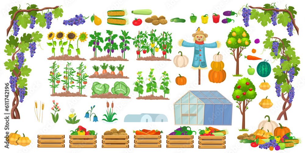 Big vegetable garden set. Set of farm in a cartoon style. Vector ...