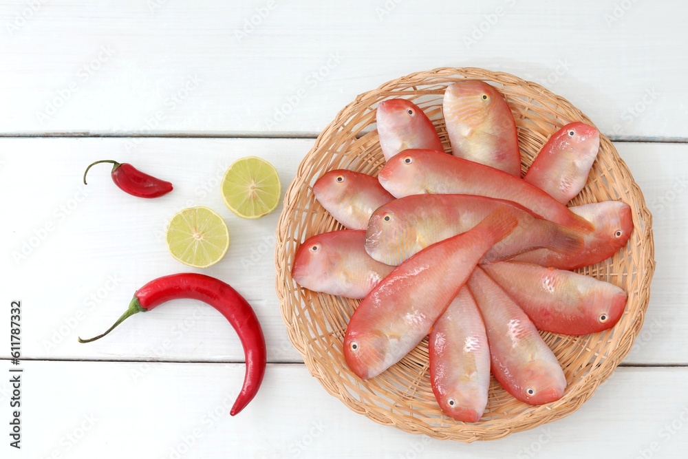 Pearl razorfish, Xyrichtys novacula, is a species of wrasse,sea ...