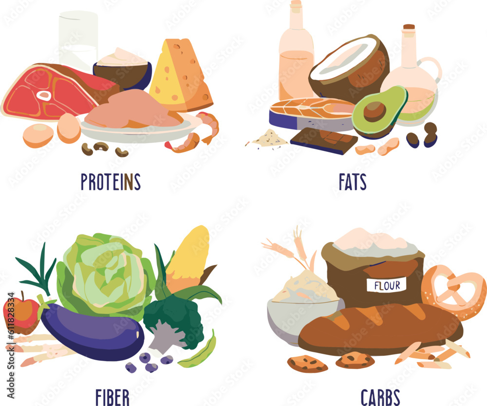 Set of healthy macronutrients. Fiber or cellulose, proteins, fats and ...