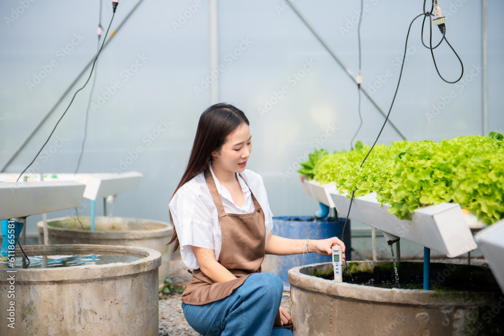 Researcher in uniform are checking with ph strips in hydroponic farm ...