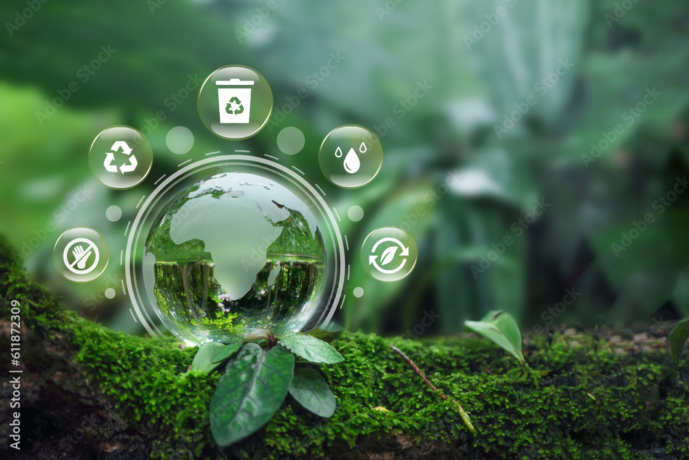 Zero waste,net zero concept. Carbon neutral. Climate neutral long term ...