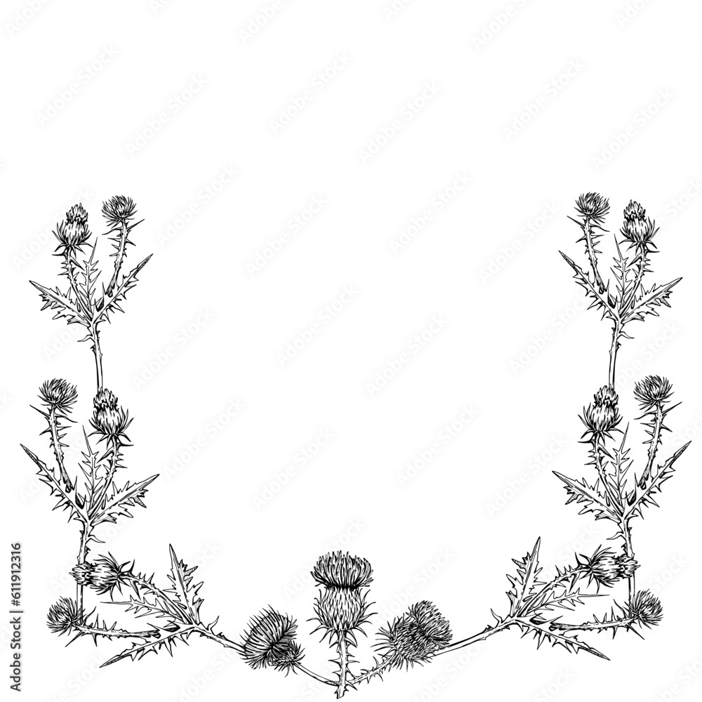 Ink hand drawn vector illustration. Scotland symbols. Scottish thistle ...