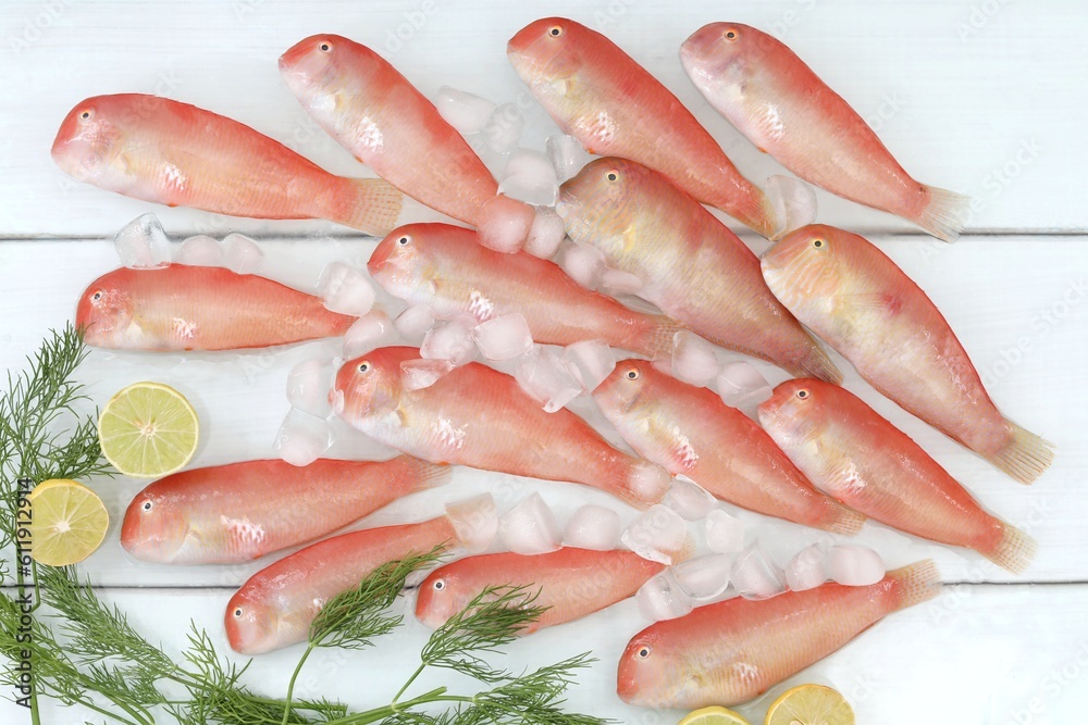 Red fish, razor fish, exotic sea fish, diet food, pieces of ice ...