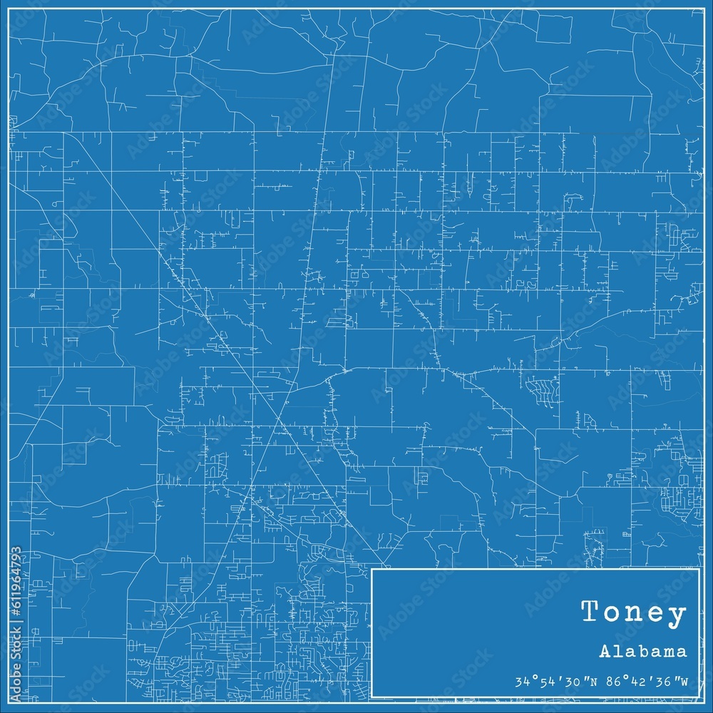 Fototapeta mapa świata dla dzieci Blueprint US city map of Toney ...