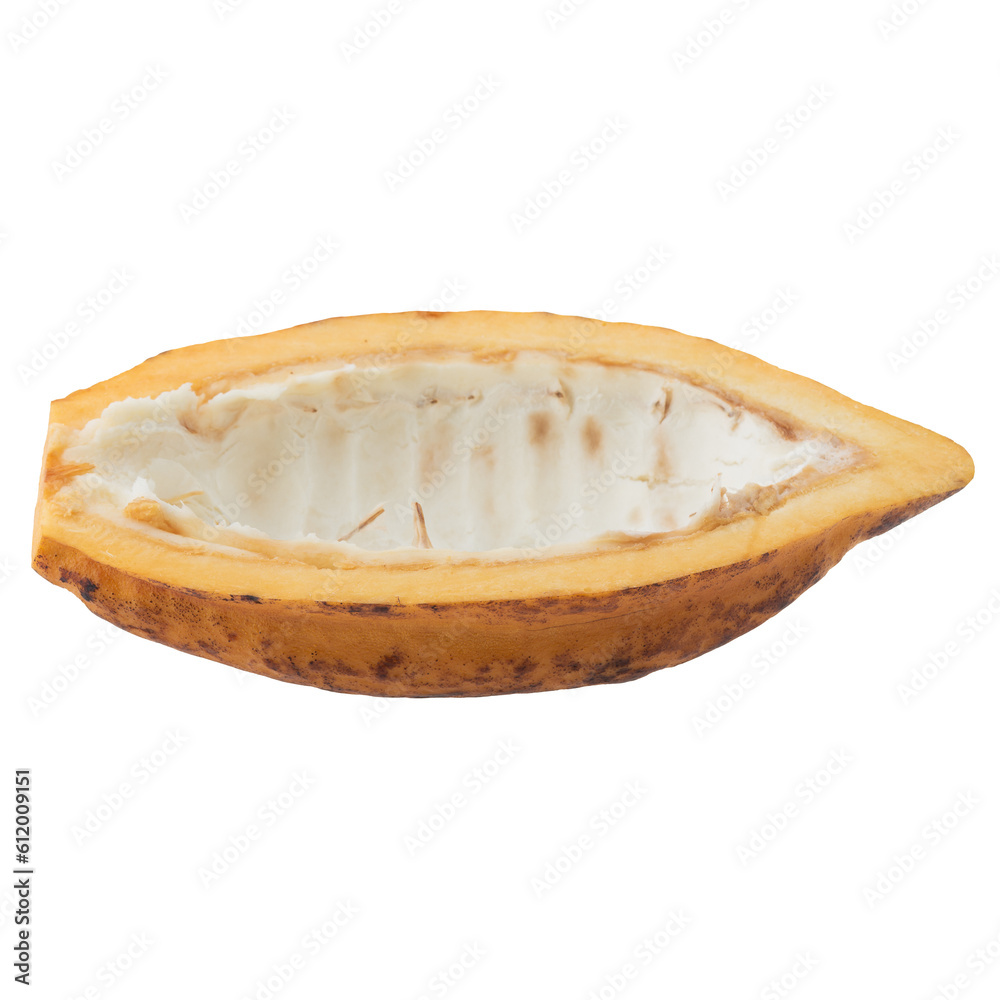 Cocoa fruit, raw Cacao beans, Cocoa pod. Fresh cocoa fruits isolated on ...