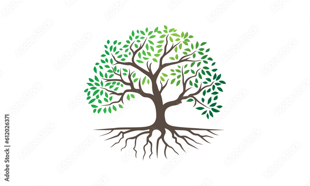 Tree vector illustrations roots mangrove tree vector isolated Stock ... Tree vector illustrations roots mangrove tree vector isolated Stock ...