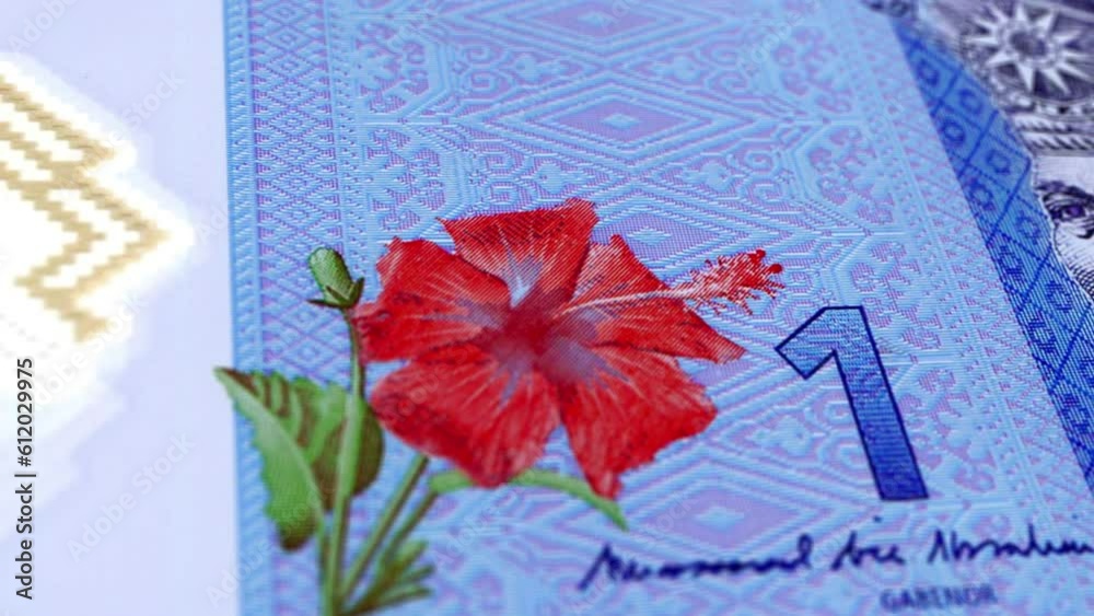 Malaysia Malaysian Ringgit 1 Banknotes, One Malaysian Ringgit, Close-up ...