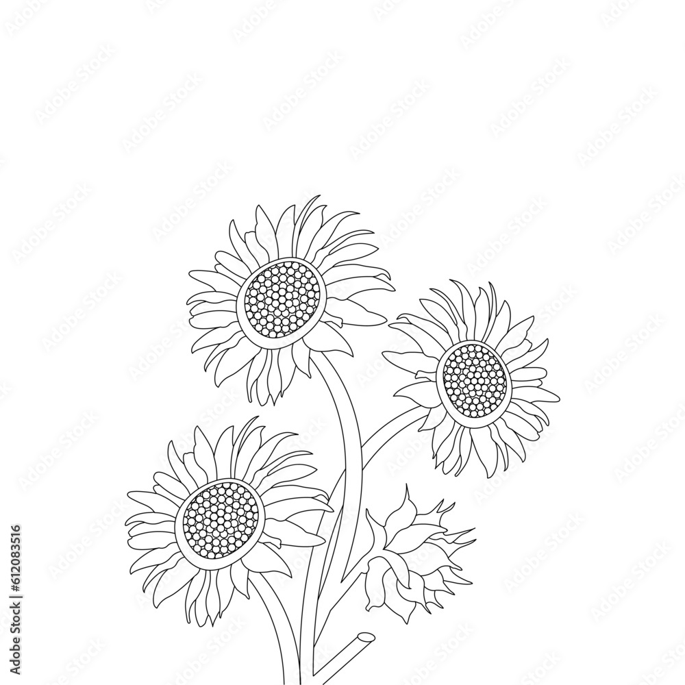 Sunflower Line Art on a White Background Vector Illustration Stock ...