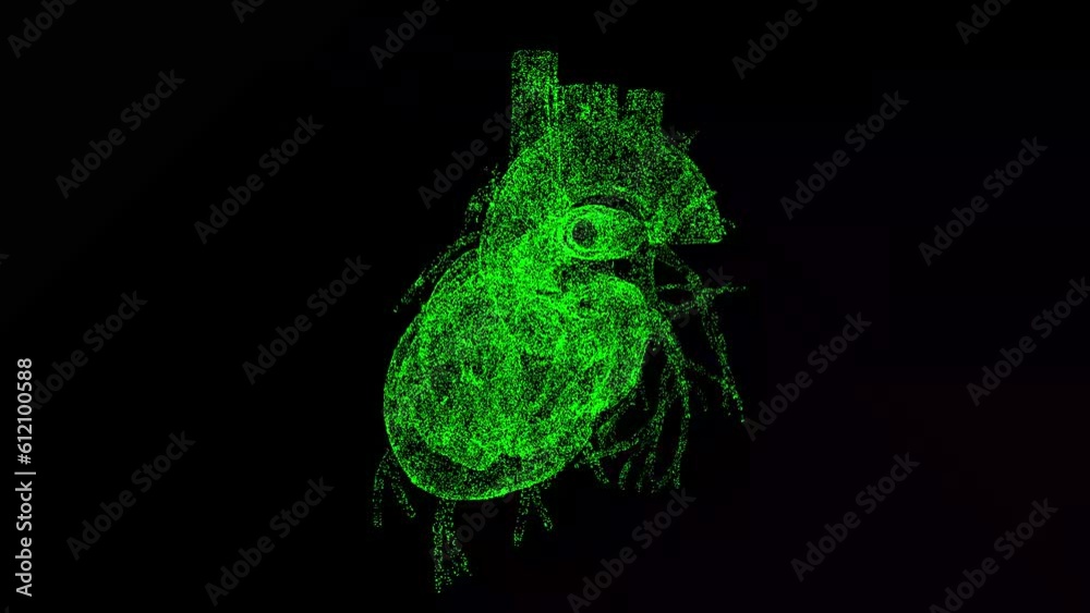 3D human heart rotates on black bg. Cardiovascular system human body ...