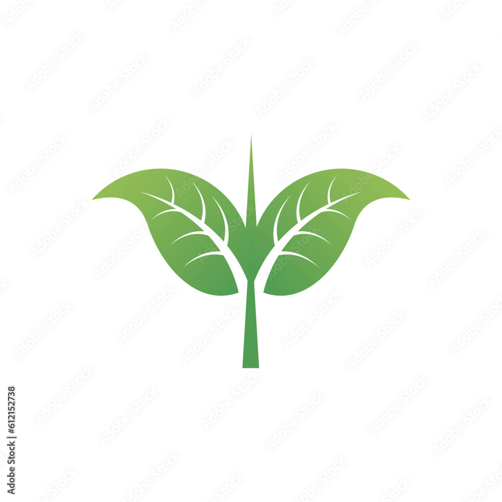 Leaf Logotype template, positive and negative variant, green clean eco ...