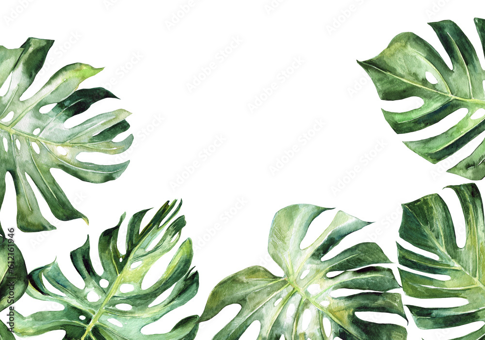 Monstera leaves watercolor border 300 dpi png , cheese plant leaves ...