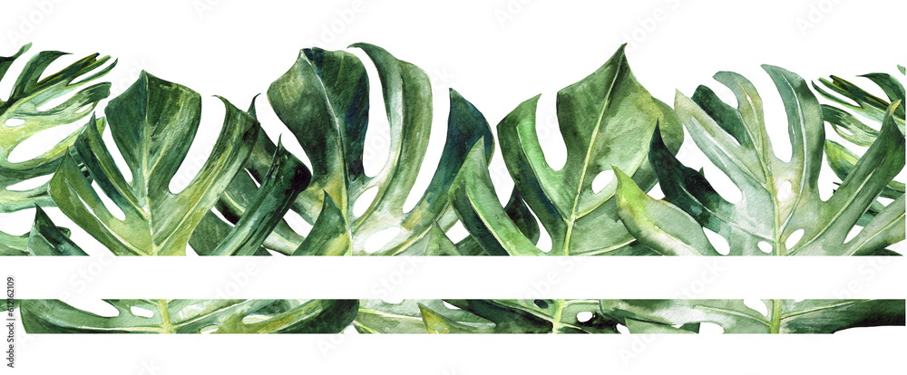 Monstera leaves watercolor border 300 dpi png , cheese plant leaves ...