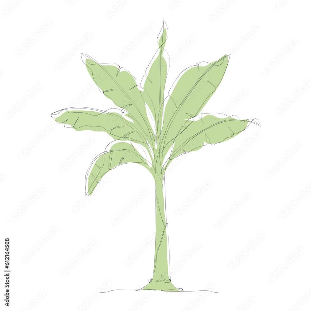 One continuous line drawing of banana tree. Banana tree line art ...