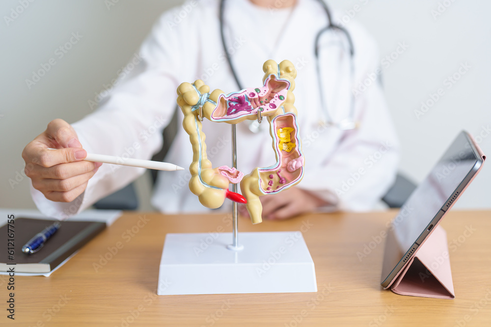 Doctor with human Colon anatomy model and tablet. Colonic disease ...