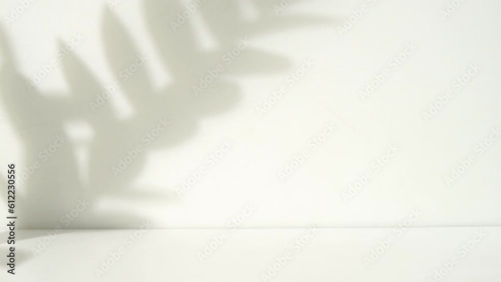 Minimalist room with leaf shadow animation overlay Stock Video | Adobe ...