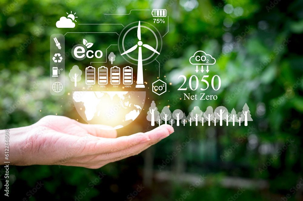 The concept of carbon neutral and net zero. natural environment Climate ...